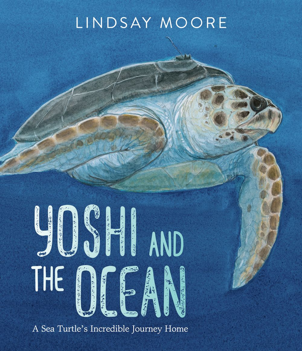 Yoshi and the Ocean: A Sea Turtle's Journey Home – Palmleaf
